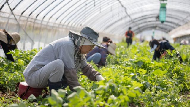 Will Switching from an Unstable Job to Farming Help Reduce My Anxiety ...